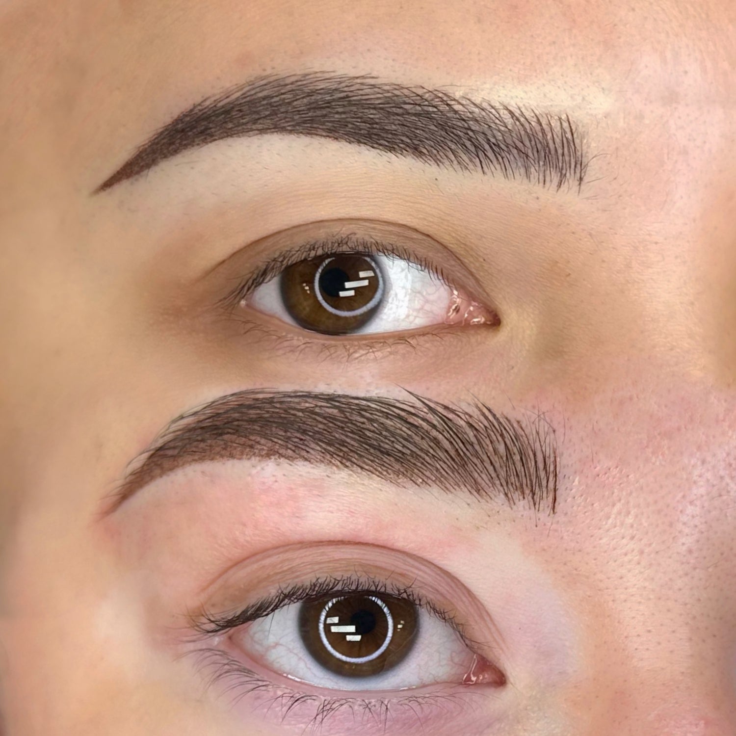 Vancouver Microblading, Nano, Lip Blush, Powder Ombré & Combo Training ...